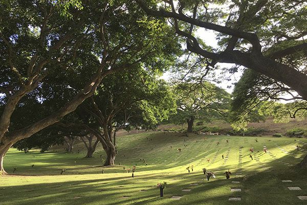 Conheça o Cemitério Necrópole do Campo Santo (Vila Rio)